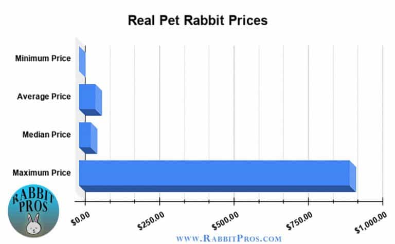 How Much Does A Pet Bunny Rabbit Cost? Cost By Rabbit Breed - Survey Data