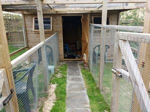 Rabbit Sheds - The Ultimate Outdoor Bunny Hutch With Pictures