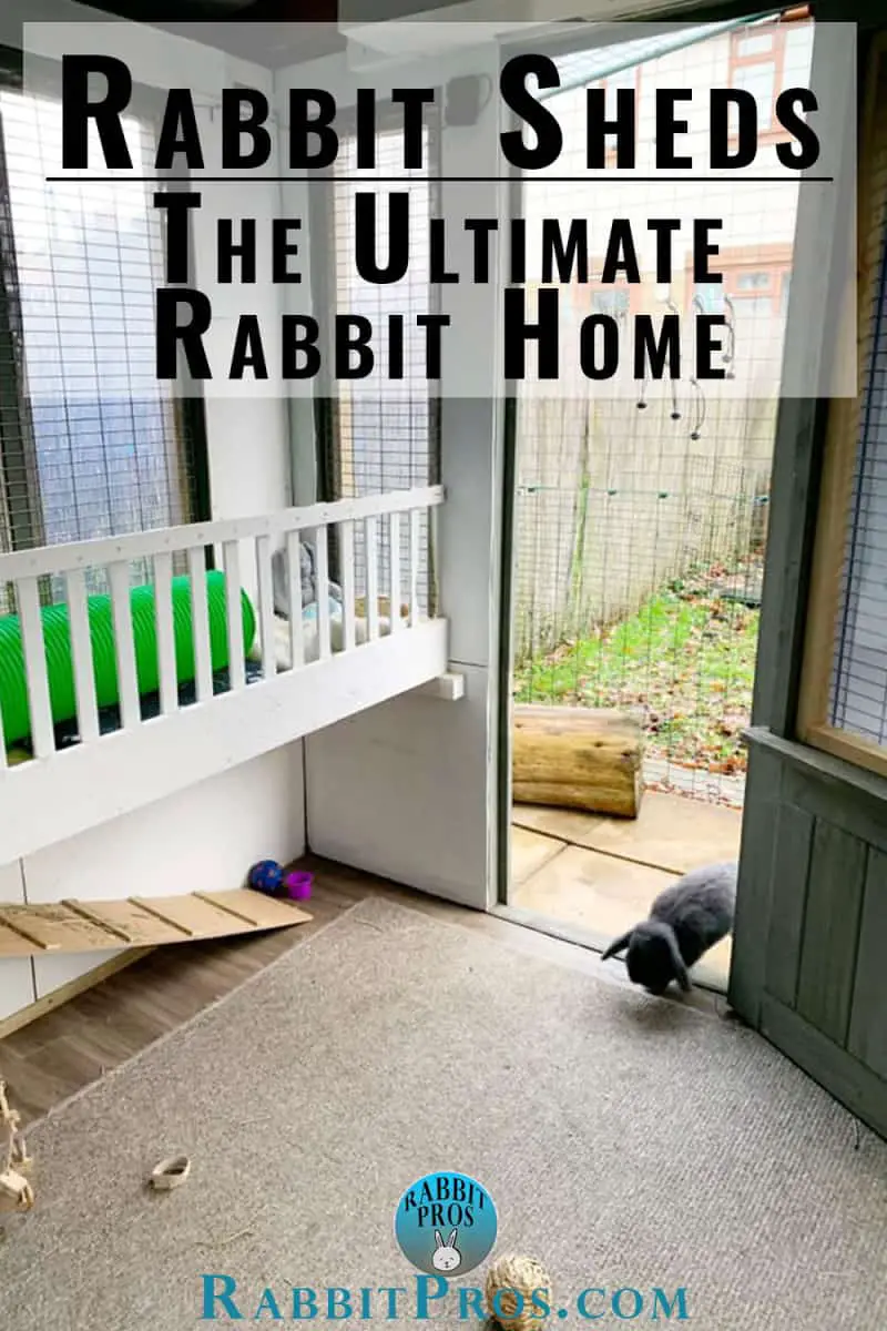Rabbit Sheds - The Ultimate Outdoor Bunny Hutch With Pictures