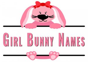 1,200 Girl Bunny Names - Both cool names and unique names.