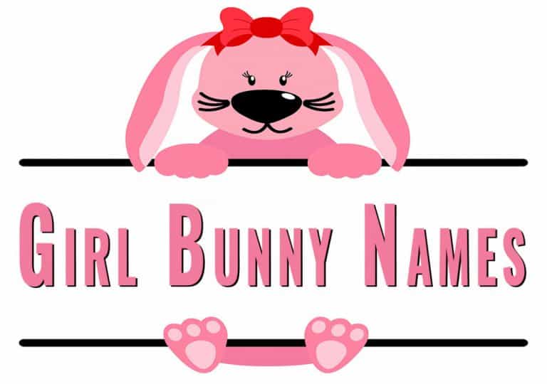 1,200 Girl Bunny Names - Both cool names and unique names.