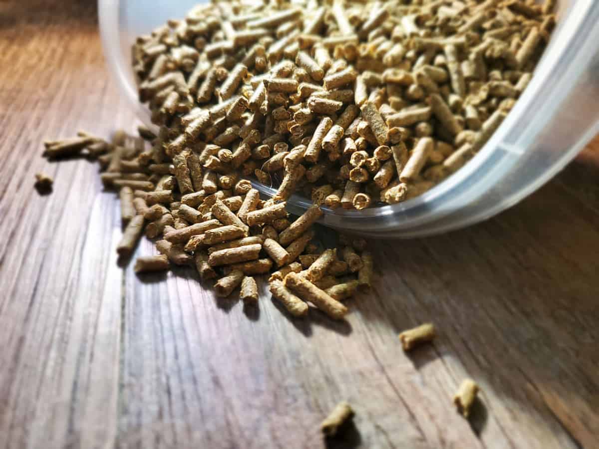 Best Rabbit Diet: A veterinarian nurse student weighs in.