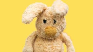 Rabbits And Loneliness - Can A Pet Rabbit Die Of Loneliness?