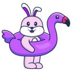 Rabbits And Water - Do Rabbits Like Water And Can They Swim?