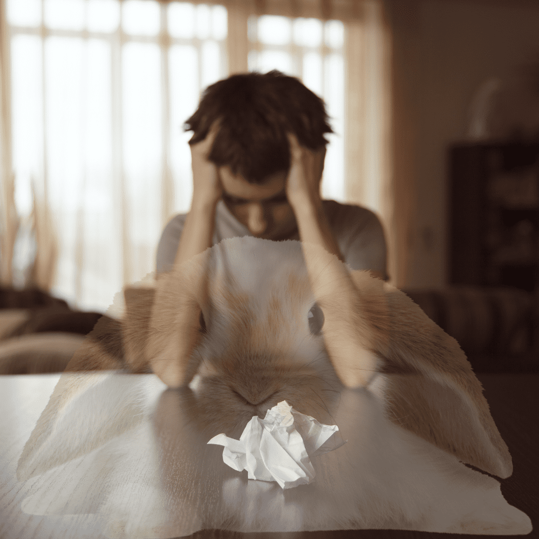 Comforting Someone Who Has Lost A Pet Rabbit - Dealing with a bunny dying.